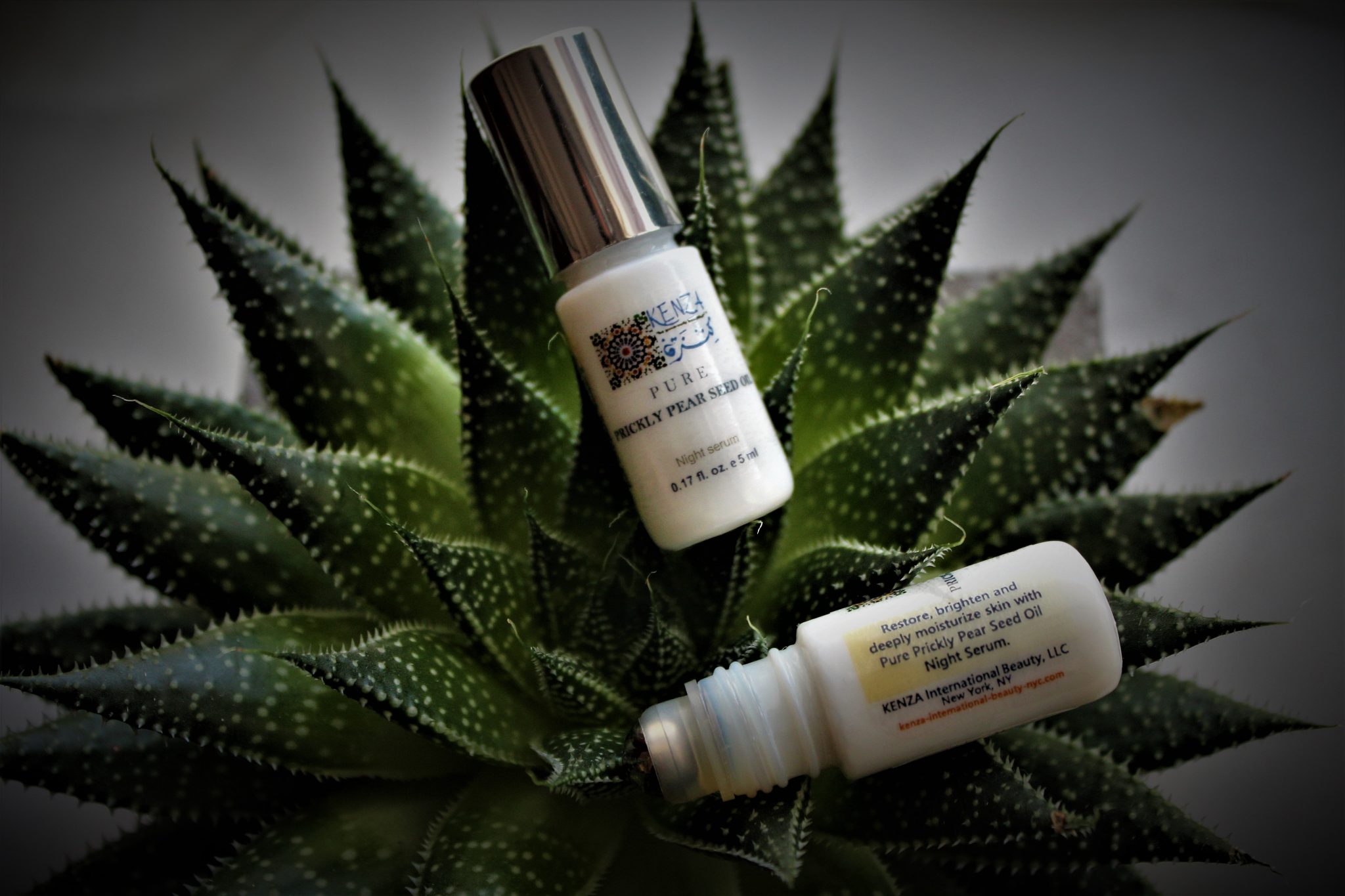Prickly Pear Seed Oil is the Natural Antioxidants to Add in Your Beauty ...